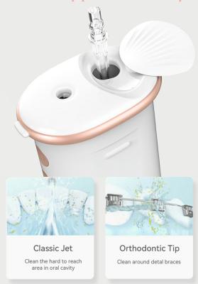 China Da água oral do cuidado da marca própria fornecedor oral limpo profundo de Flosser da água do ODM do OEM de Flosser à venda