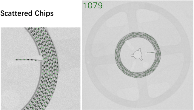 Sample X-ray component image 6