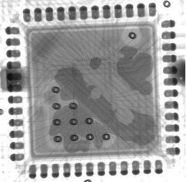 IC voids and gold wire inspection sample