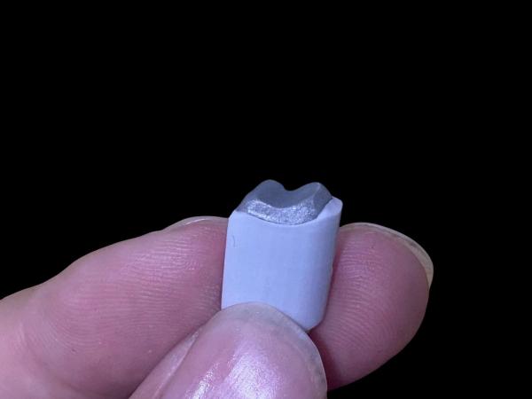 Corrosion Resistant Metal Post And Core High Adhesion For Dental Restoration