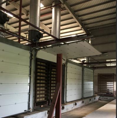 China Single-layer tunnel dryer with channel-type structure and hot air circulation for flexible drying time in brick production for sale