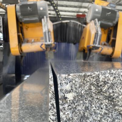 China Dual-Blade Arc-Slab Edge-Trimming Machine with 600-800mm Cutting Blade Diameter Load in a 20 Feet Container and 24.5/16.5kw Gross Power for sale