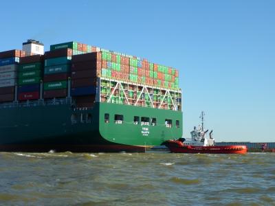 China FCL , LCL International Shipping Forwarder Sea Routes Ocean Project Logistics For Australia for sale