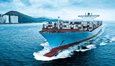 China Cargo International Shipping Forwarder Sea Routes  To Dallas , Ocean Freight From China To Usa for sale