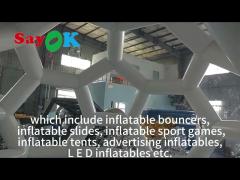 Inflatable Clear Bubble Tent