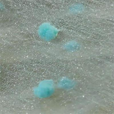 Cina Le bluse vestono le donne sono adatto al tessuto chiffon del poliestere del tessuto 33gsm 100 in vendita