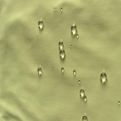 Cina prodotto del bordo di 50d 150cm il breve intessuto disegna il poliestere 80gsm 100 in vendita