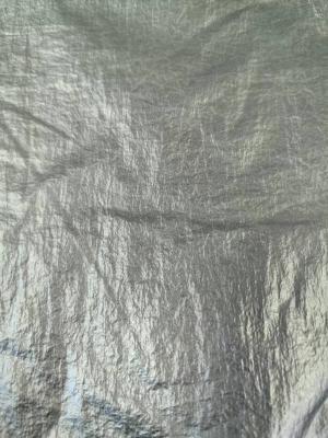 중국 20D*20D 100%N 40GSM Nylon fabric 판매용