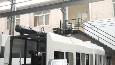 Cina controllo di salto dello SpA di DELTA della macchina dell'ANIMALE DOMESTICO della cavità 100ml-2L 6 in vendita