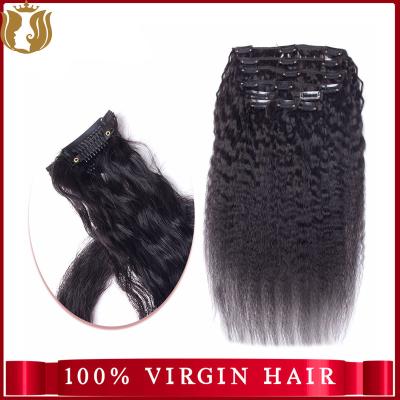 China Whosale 100% Indian Remy Hair Clip In Extensions for sale