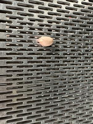 China 1000×2000mm Perforated Steel Sheet With Oblong Holes For Screening for sale