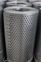 China Hot Dipped Galvanized Roll Perforated Mesh Sheet 0.5-3mm for Greenhouse Ventilation and Pest Control for sale
