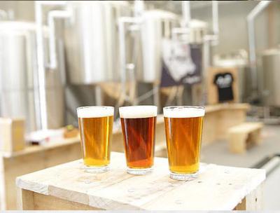 China 300L 500L beer brewery system for beer bar,hotel restaurant for sale