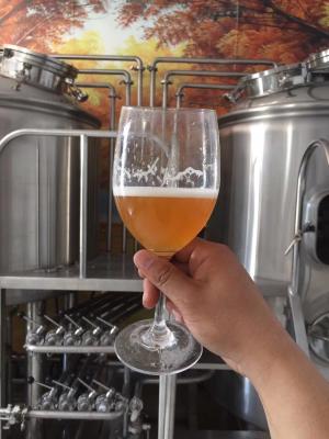 China Micro brewery 1500L beer making equipment for sale US Europe market for sale