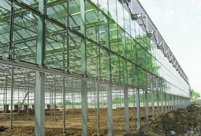 China 4mm Toughened Glass for  Vegetable Plants Growing Greenhouse for sale