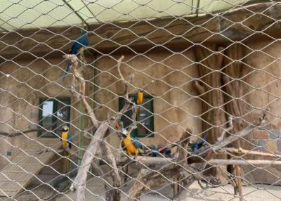 China Malha de arame SS304 X Tend Flexível para zoológico de 25 mm para cercas de aviário à venda