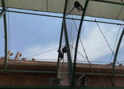 China 30mm 1.5mm Flexible Stainless Steel Rope Mesh Cable Wire Net For Zoo Animals Safety Fence for sale