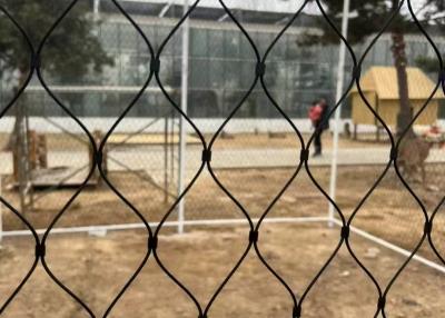 China Black Oxidized Rope Net Fence 60*60 Opening Rope Netting Fence CE Certified for sale