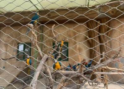 China 22mm*22mm Corrosion Resistant SS304 Knotted Steel Cable Mesh for Staircase Fence with Flexible Structure and Easy Installation for sale