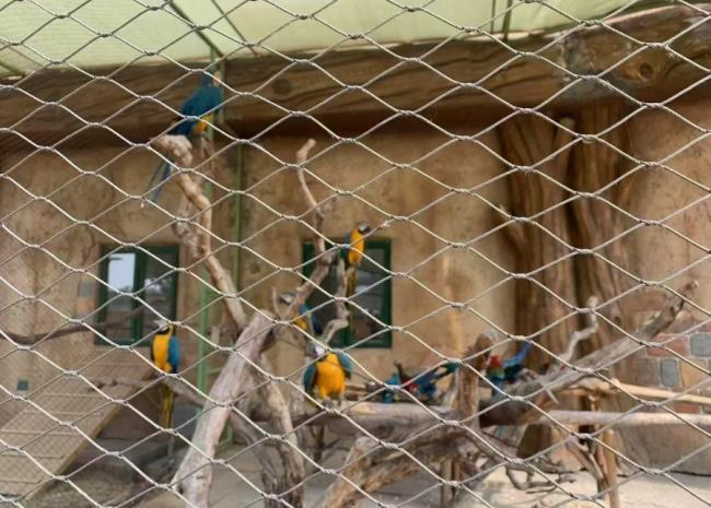 Stainless steel wire rope mesh installation example