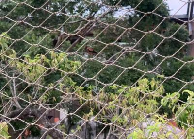 China Ferruled Mesh Aviary Rope Netting with Weather Resistant and High Strength Stainless Steel Wire Rope Mesh for sale