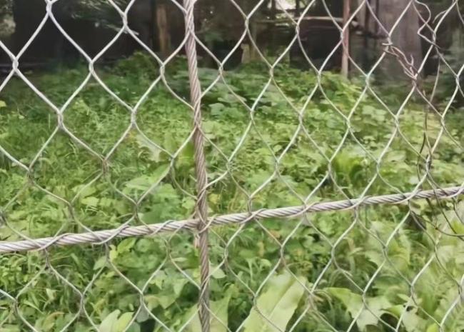 Custom wire rope mesh design