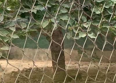 China SS304 Stainless Steel Aviary Rope Netting For Protective Climbing Frame Net for sale