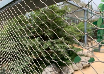 China Stainless Steel  Wire rope Mesh For Bird Aviaries And Slope Protection netting for sale