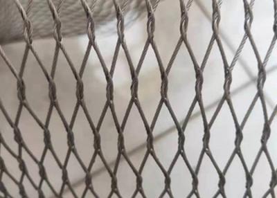 China Moisture Resistant Aviary Mesh Corrosion Proof Net for Indonesia Bird Housing for sale