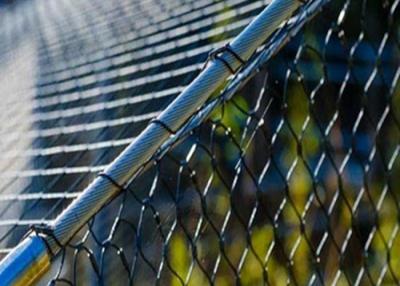 China Attractive Aviary Mesh Optimizes Long term Protection for Bird Enclosure Facilities for sale