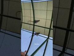 織物型 動物園ロープネット 50*50 ケーブルメッシュ 2.0mm ステンレス鋼ケーブルメッシュ