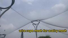 Ferrule Woven Aviary Mesh High Durable Stainless Steel Net for Bird Fencing