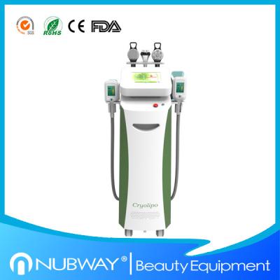 China 5 Handles Fat Freezing Machine / Cryolipolysis Slimming Machine for sale