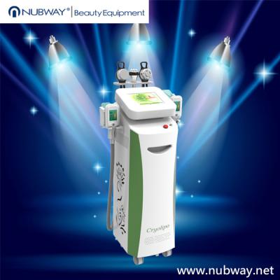 China Cryolipolysis Slimming Machine For Body Contouring / Fat Freezing Machine for sale