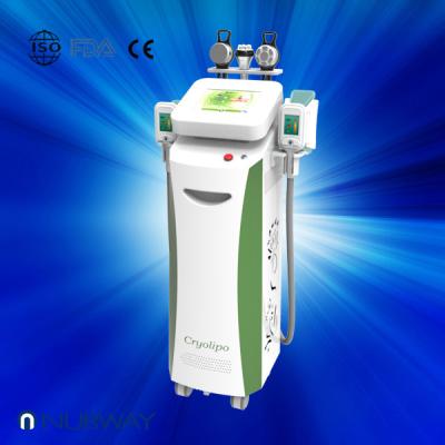 China Laser Fat Freezing Hot Sale Ce Approved vertical Cryolipolysis Slimming Machine for sale