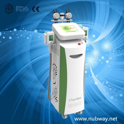 China Newest vertical Cryolipolysis Slimming Machine / Fat Freezing Cryolipolysis for sale