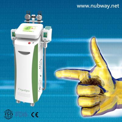 China Cryolipolysis Slimming Machine / Face Slimming Machine with ce for sale