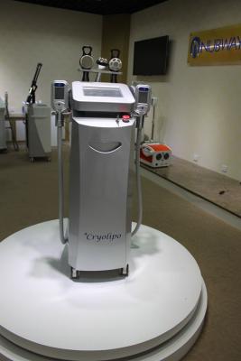 China Non Surgical Cryolipolysis Slimming Machine / Cryo Weight Loss Equipment For Home Use for sale