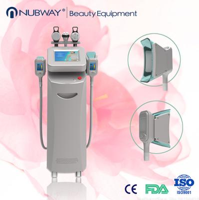 China Best Effect 40k Cavitation Multipoalr Rf Fat Freeze Slimming Machine for sale