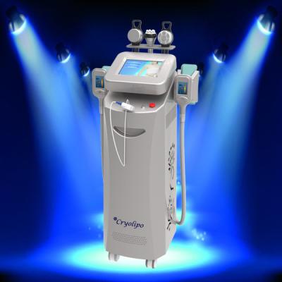 China Body Shaper Slimming Machine / Fast Slimming Machine / cryolipolysis slimming machine for sale