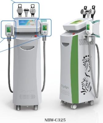 China Freezing Fat Cell Slimming Machine / 5 Pcs Cold Fat Dissolving Handle for sale