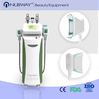 China Fat Effective Cryolipolysis Machine / High Quality Cryolipolysis Machine for sale