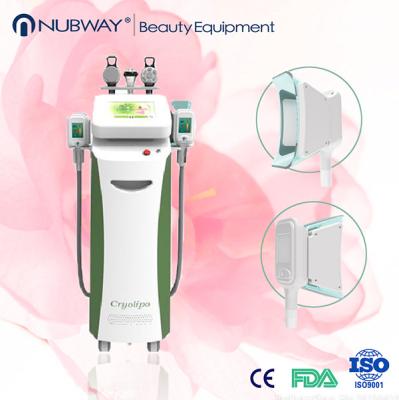 China cool tech fat freezing machine for weight loss and skin rejuvenation for sale