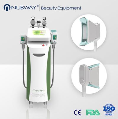 China vacuum fat cellulite machines cryolipolysis Slimming machine for weight loss for sale
