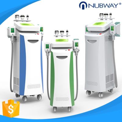 China Cryolipolysis Slimming machine NBW-C325 for sale