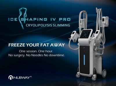 China 4 handles Cryolipolysis Slimming machine for sale
