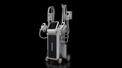 China Cryolipolysis fat freeze slimming machine can you freeze fat cells for sale