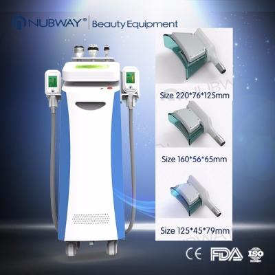 China 4 functions in one mode 5 handles cryolipolysis slimming machine vacuum suction body shaper slimming machine for sale