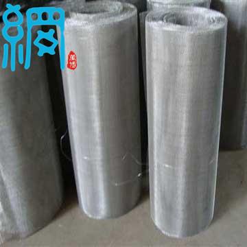 China 16 mesh  plain SS mesh for sale