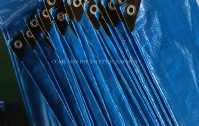 China China Blue Waterproof Waterptoof Tarpaulin Cover for sale